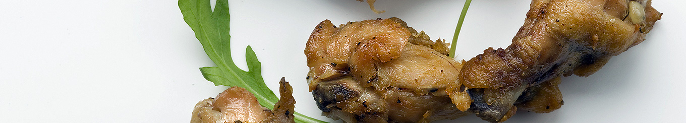 Hudson Valley Chicken Products